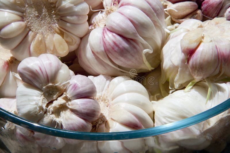 Fresh garlic stock photo. Image of detail, background - 30643120