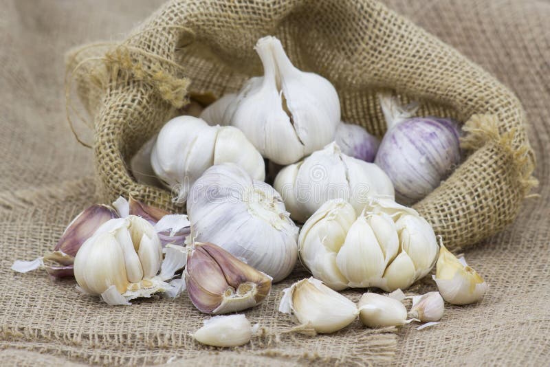 Fresh garlic in package stock photo. Image of spice, aroma - 30936602