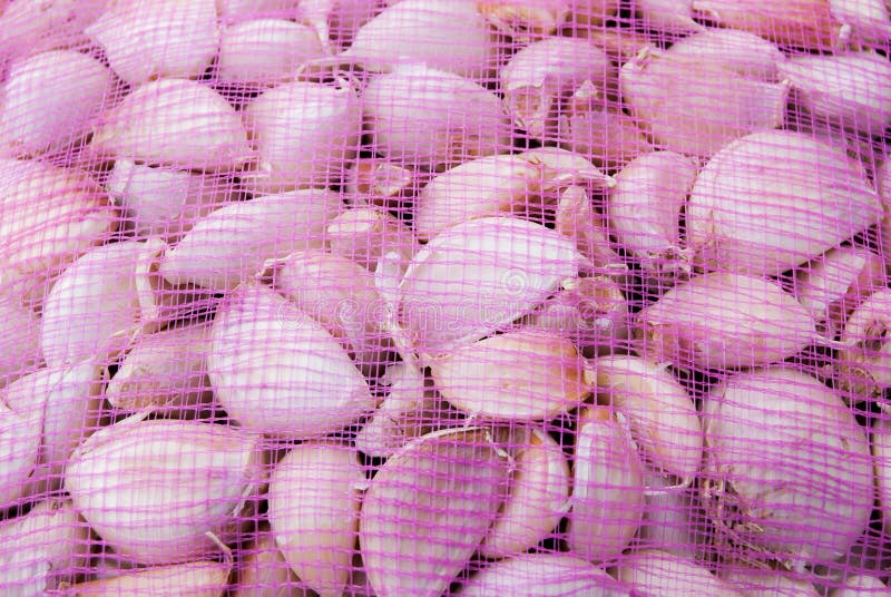 Fresh Garlic in Plastic Bag Stock Image - Image of healthy, condiment ...