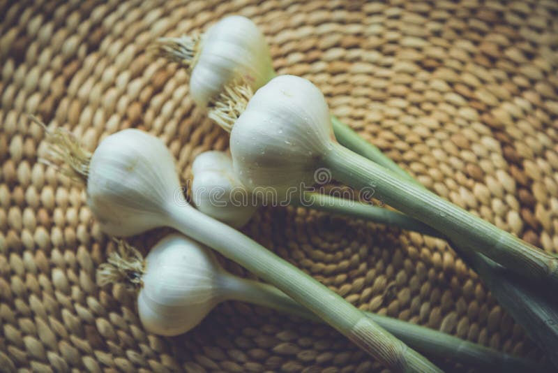 Fresh garlic stock image. Image of basket, cooking, condiment - 118593065