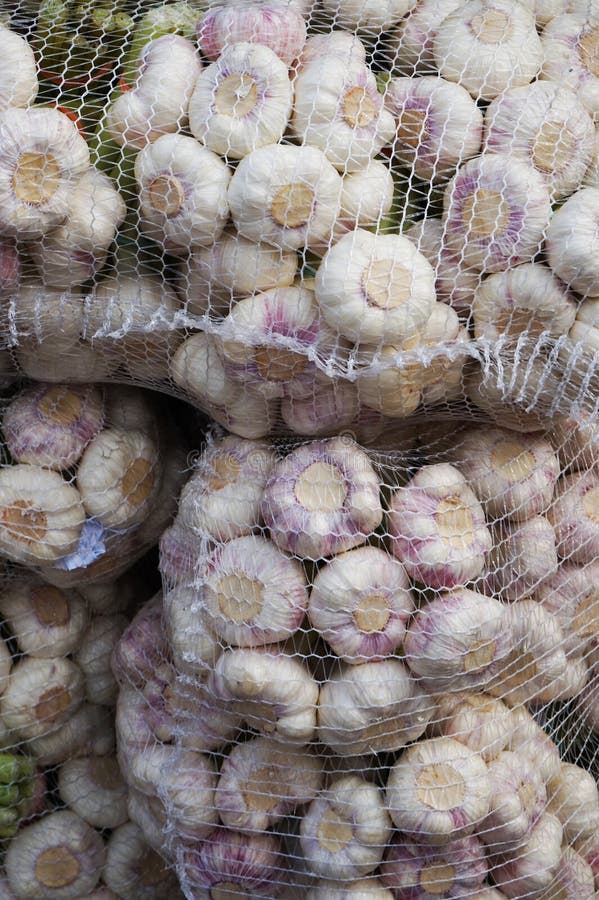 Fresh garlic texture stock image. Image of vegetarian - 118325411