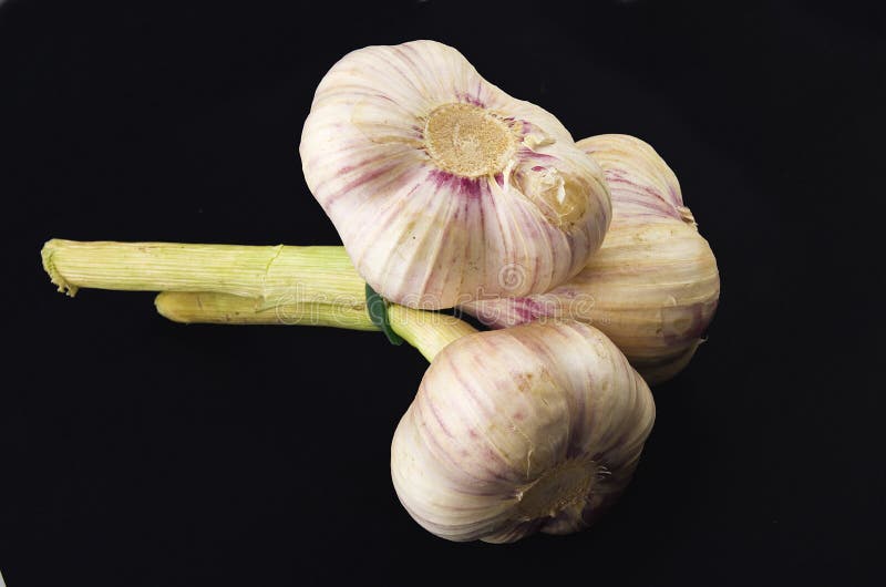 Fresh garlic stock photo. Image of vitamins, organic - 31965780