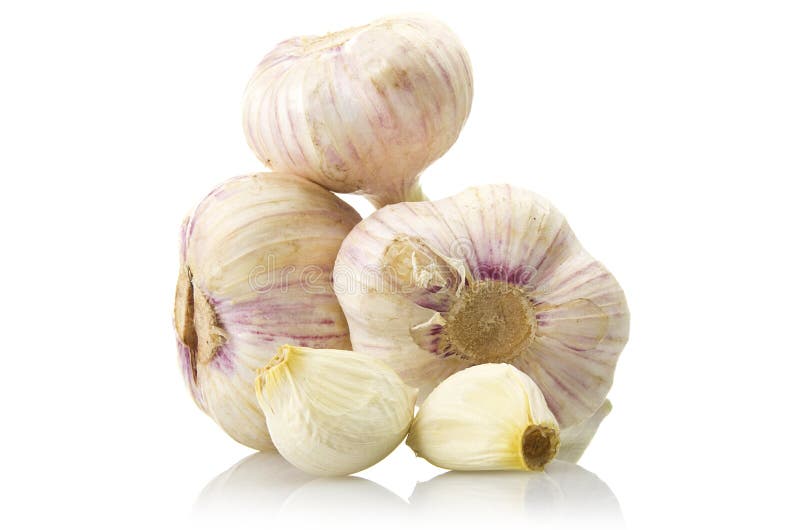 Fresh garlic stock photo. Image of bunch, fresh, fruit - 31965812