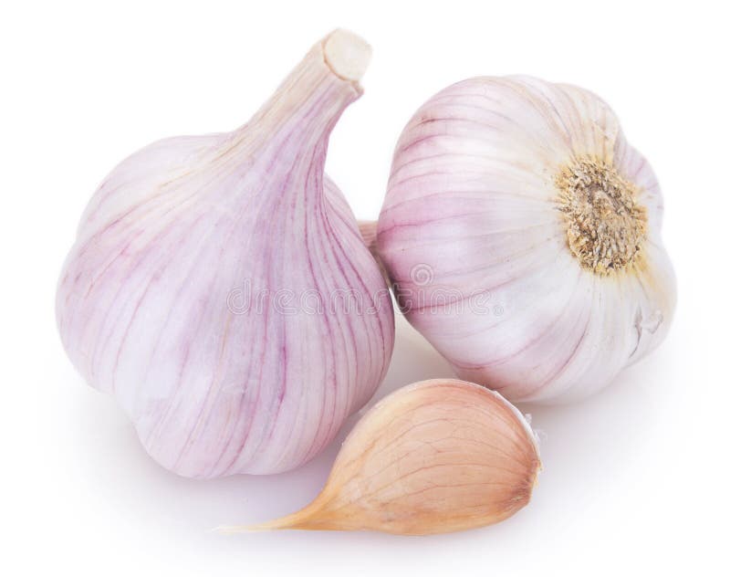 Fresh Garlic on White Background Stock Photo - Image of spice ...
