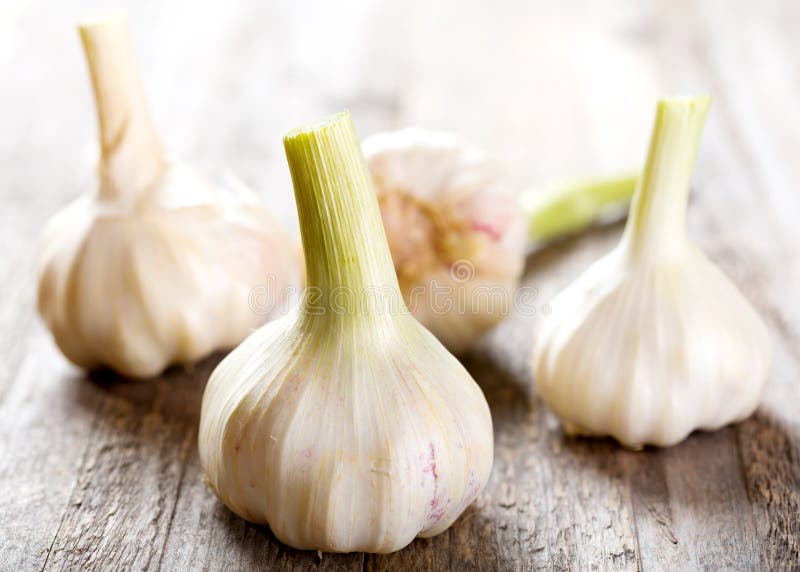 Fresh garlic stock image. Image of still, gourmet, garlic - 30685919