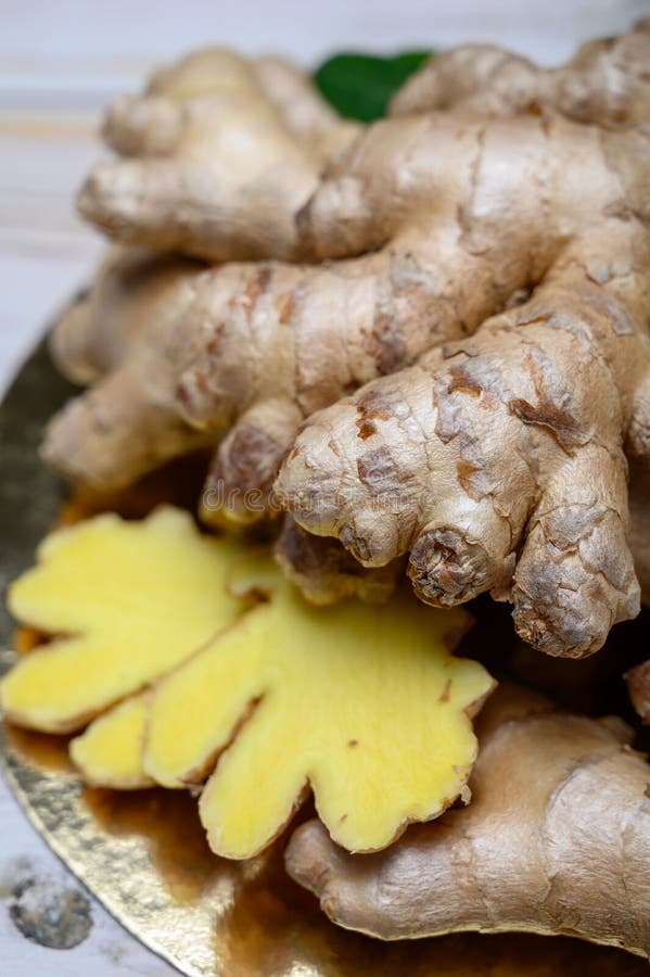 Fresh Gember Roots Used for Cooking and Medicine Stock Image - Image of ...
