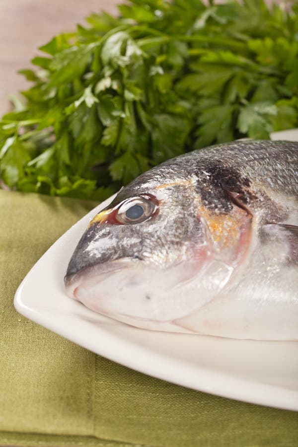 Fresh gilthead stock image. Image of nutrition, bream - 21357401