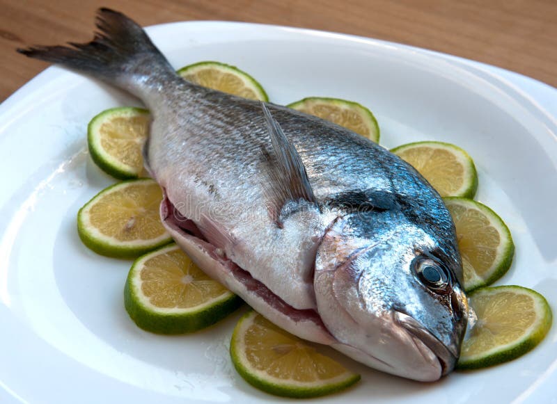 Fresh gilthead fish stock photo. Image of preparation - 16740992