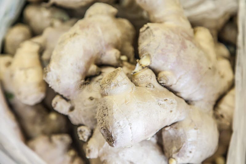 Fresh Ginger stock image. Image of fresh, ingredient - 33866377