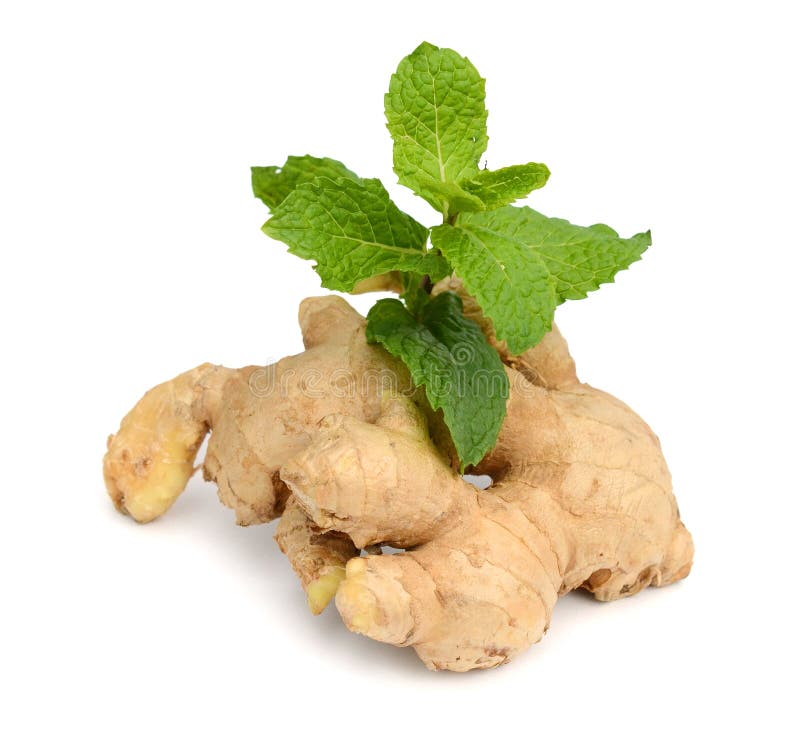 Fresh ginger stock photo. Image of root, diseases, mint - 91113404