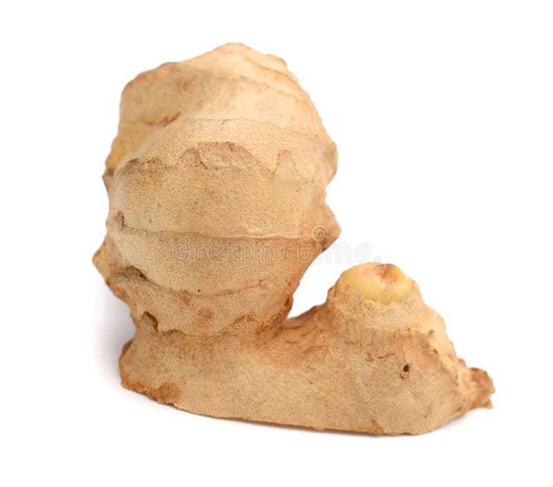 Fresh ginger stock photo. Image of starch, hard, medicine - 91113490