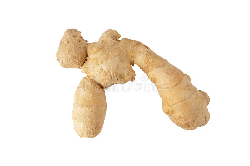 Fresh Ginger Isolated on White Top View. Transparent Png Additional ...