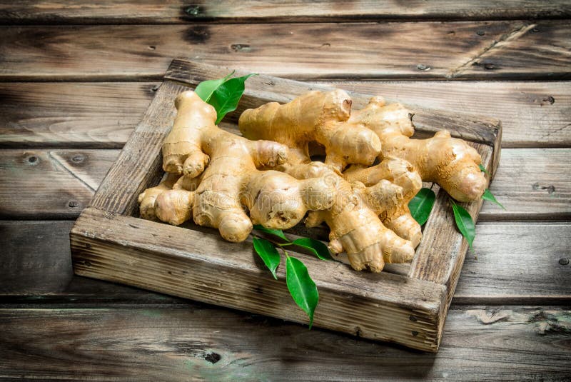 Fresh Ginger with Leaves in Tray Stock Image - Image of ingredient ...