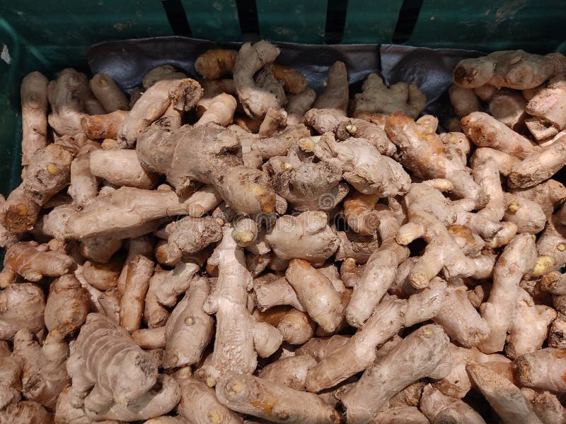 Fresh Ginger in a Plastic Container Stock Photo - Image of food ...