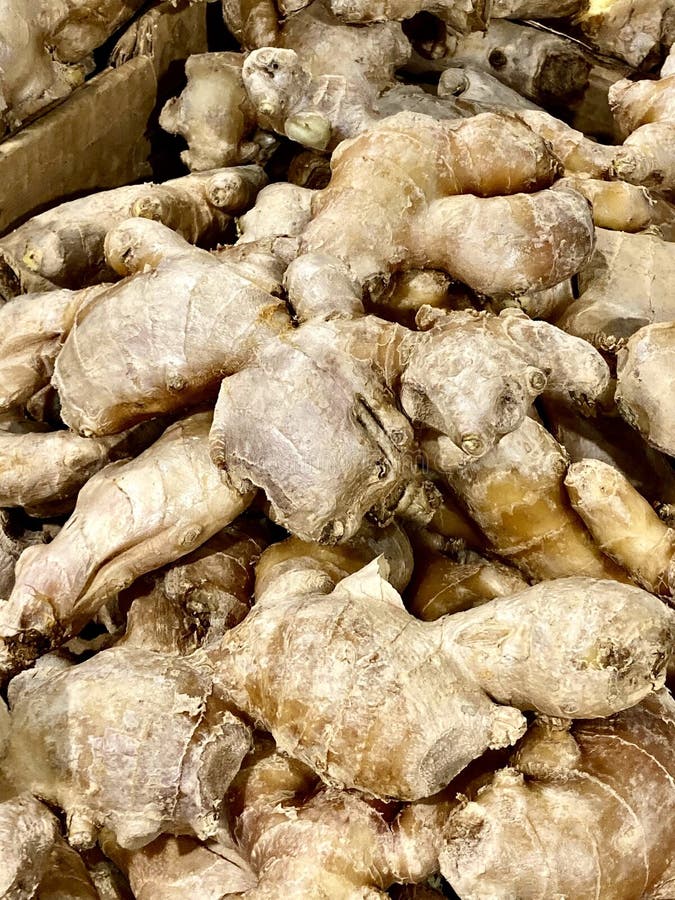 Fresh Ginger Root stock image. Image of root, spice - 270319861