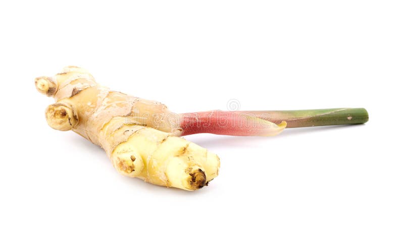 Fresh Ginger Root with Stem Isolated on White Background Stock Photo ...