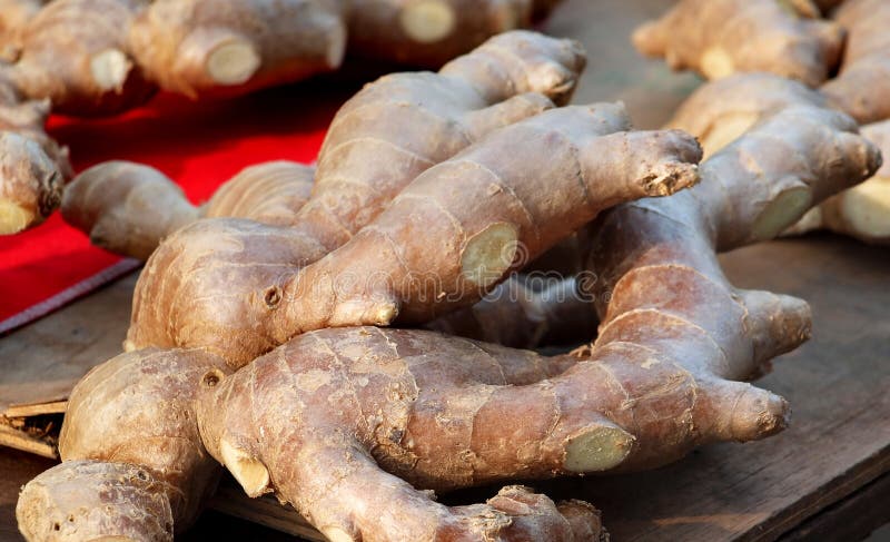 Fresh Ginger Roots stock photo. Image of plant, spice - 34465316