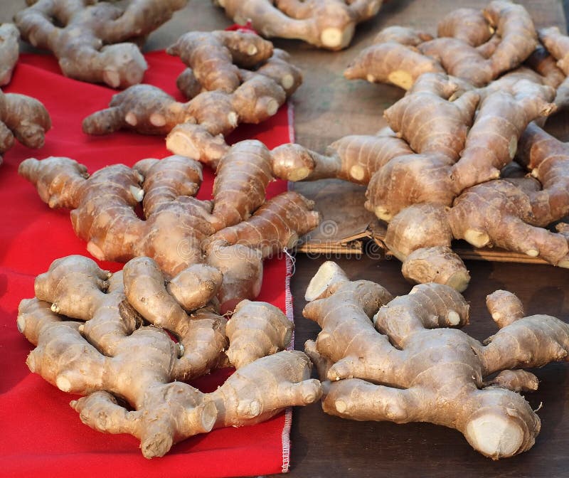 Fresh Ginger Roots stock photo. Image of pungent, shape - 160974342