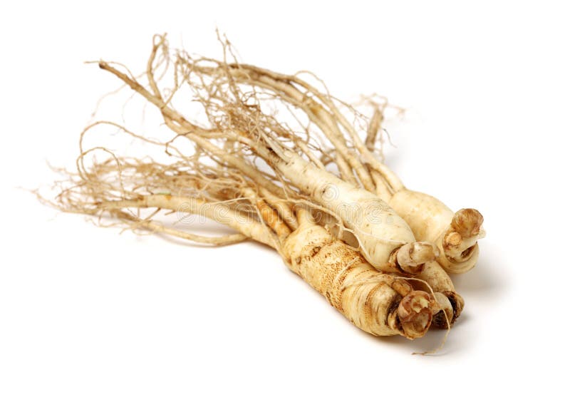 Fresh Ginseng root stick stock image. Image of background - 131032039