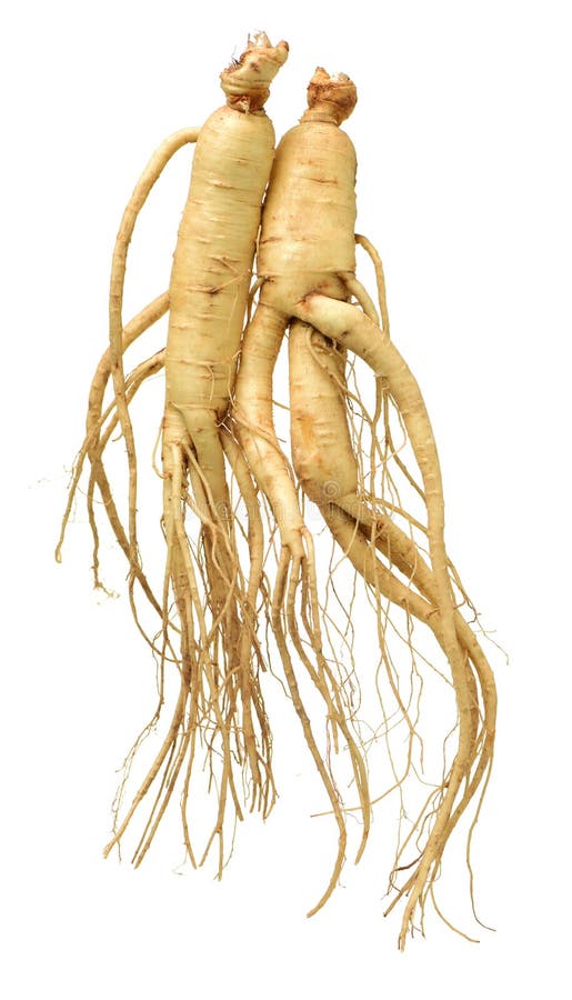 2,630 Ginseng Root Photos - Free & Royalty-Free Stock Photos from ...