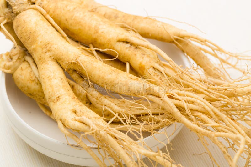 Fresh Ginseng texture stock photo. Image of health, spice - 35612272
