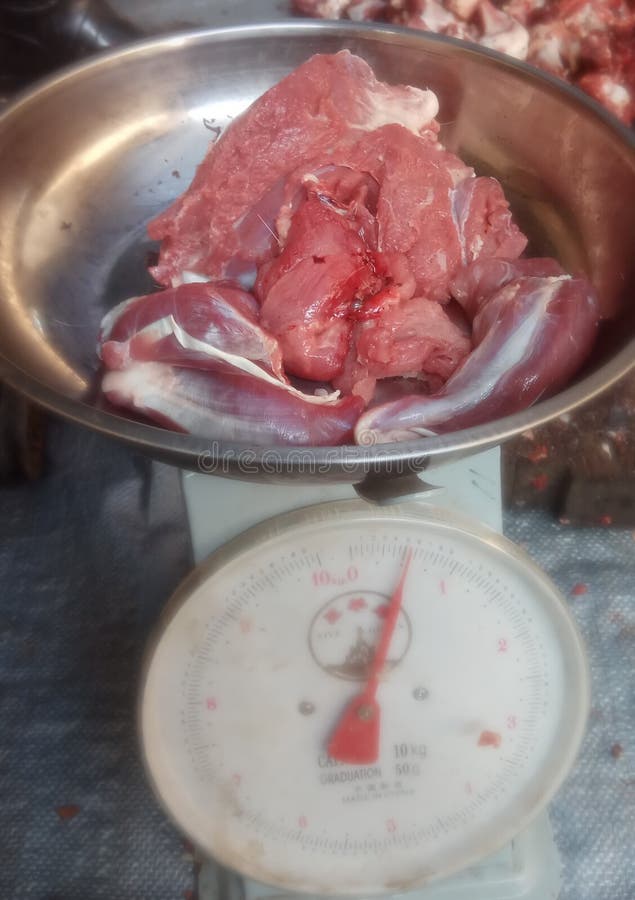 Fresh goat meat on scales editorial stock image. Image of meal - 193114539