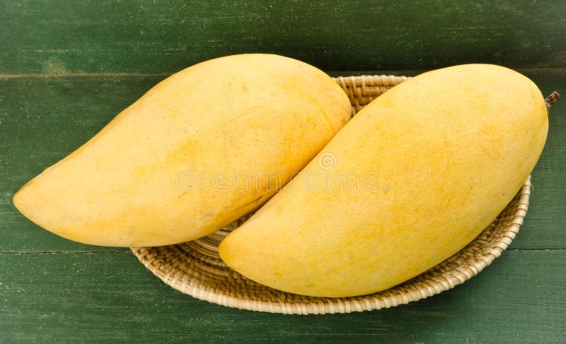 Fresh Golden Mango in Basket Stock Photo - Image of golden, farm: 33313092