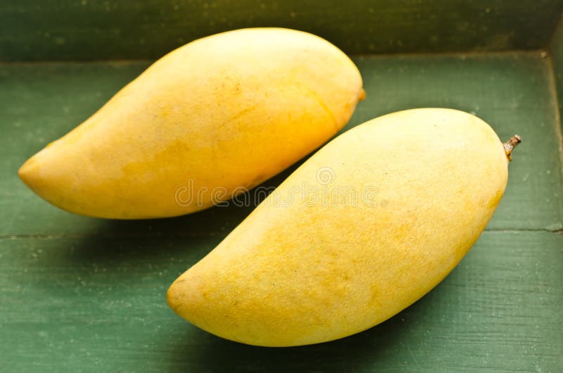 Fresh golden mango stock image. Image of closeup, citrus - 32733363