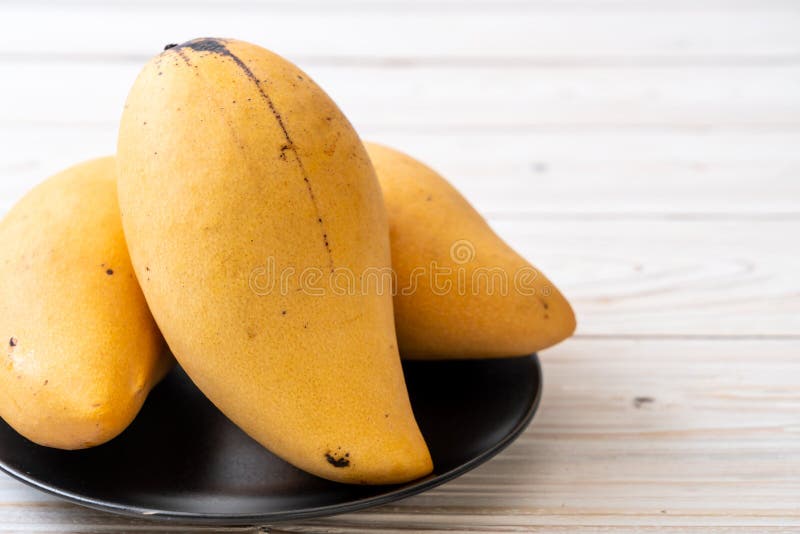 Fresh and golden mangoes stock image. Image of healthy - 141874033