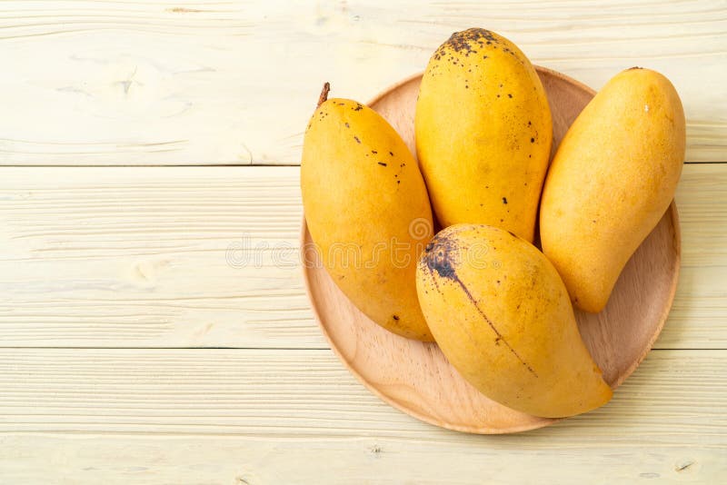 Fresh and golden mangoes stock photo. Image of healthy - 149611124