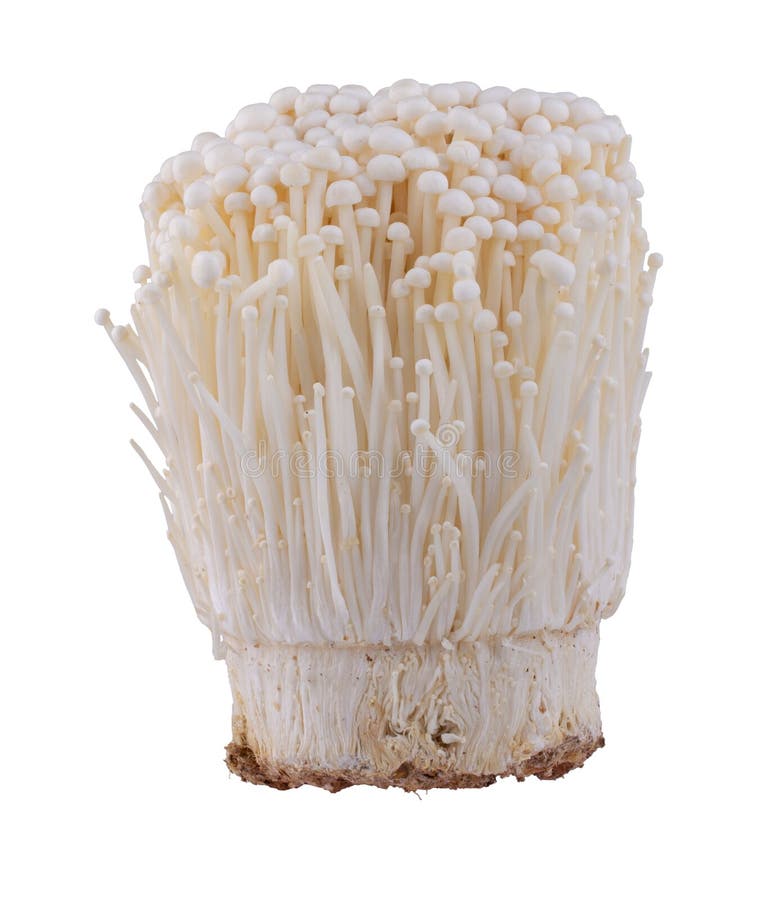 2,785 Japanese Fresh Enoki Mushroom Stock Photos - Free & Royalty-Free ...