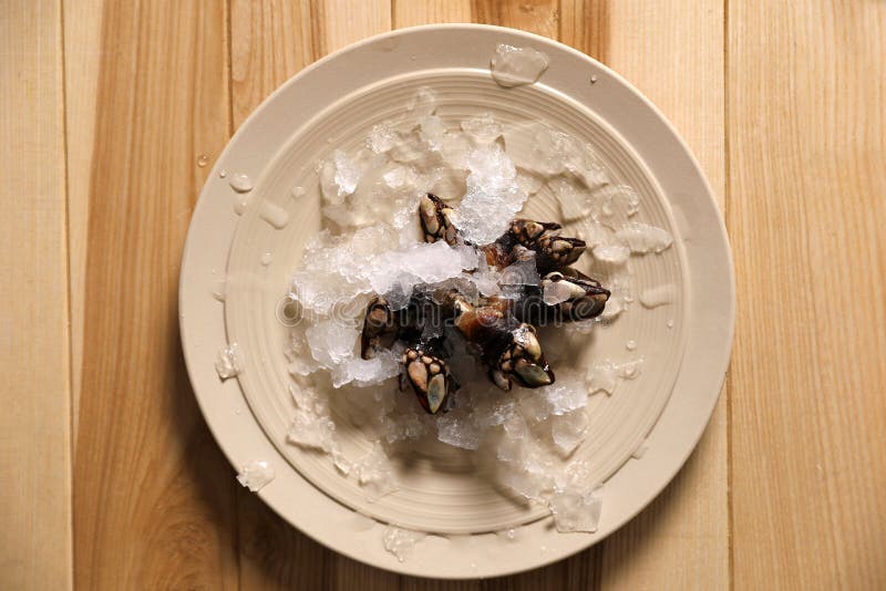 Fresh Goose Barnacle with Ice on Table, Top View Stock Image - Image of ...