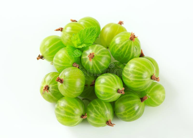 Fresh gooseberries stock image. Image of food, gooseberries - 26090913