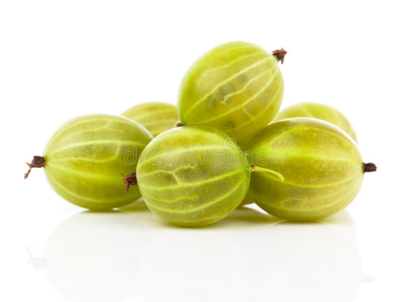 Fresh gooseberry stock photo. Image of closeup, pure - 57990856
