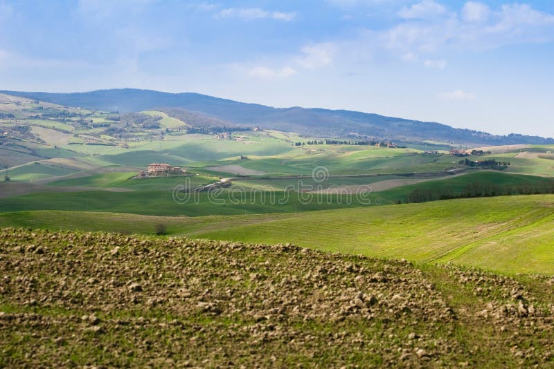 Fresh grain stock photo. Image of hills, cloudy, fresh - 9971986