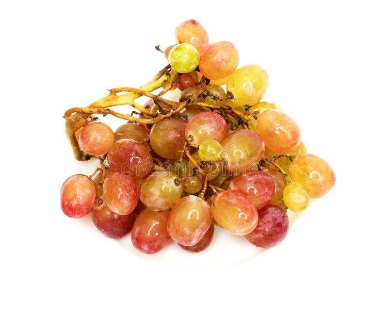 Fresh grape stock photo. Image of grape, healthy, agriculture - 23075372