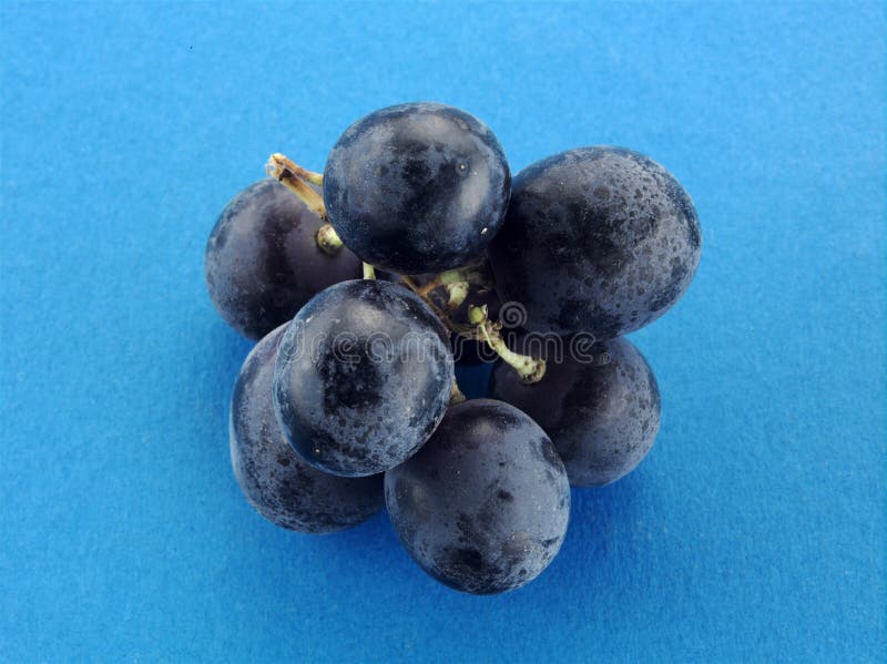Fresh grape stock photo. Image of tropical, sweet, closeup - 29258018