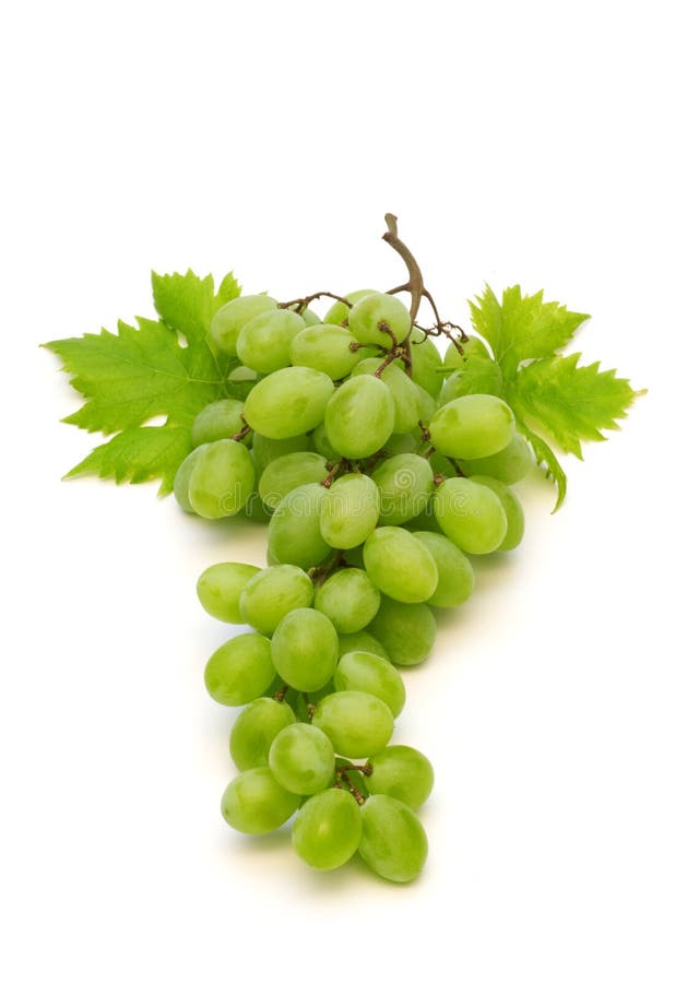 Fresh grape leaves stock image. Image of grow, berry - 83195803