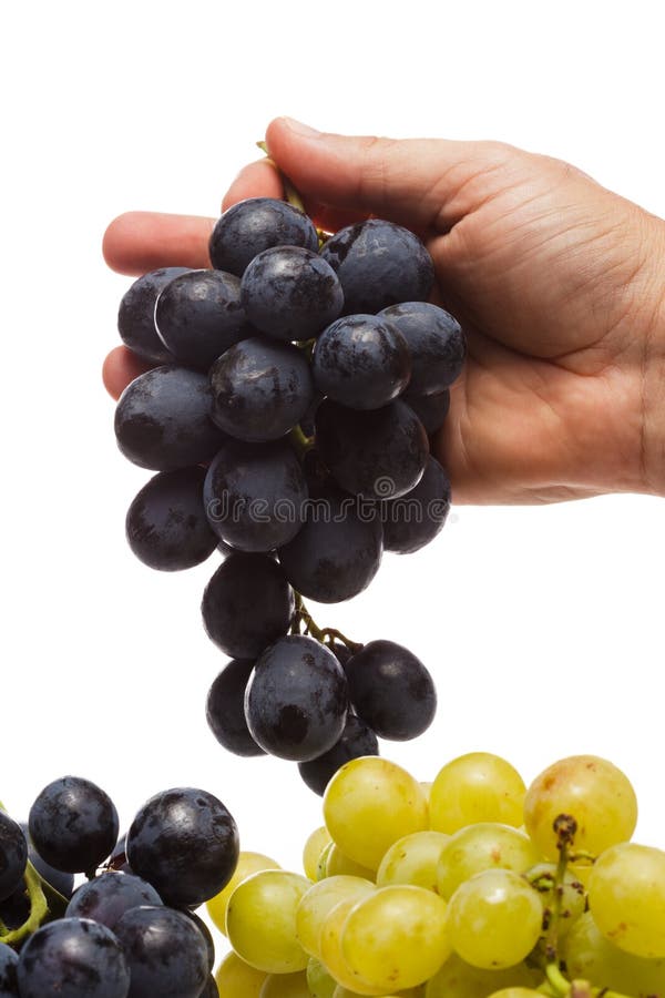 Fresh Grape Isolated on White Stock Photo - Image of juicy, farm: 60393976