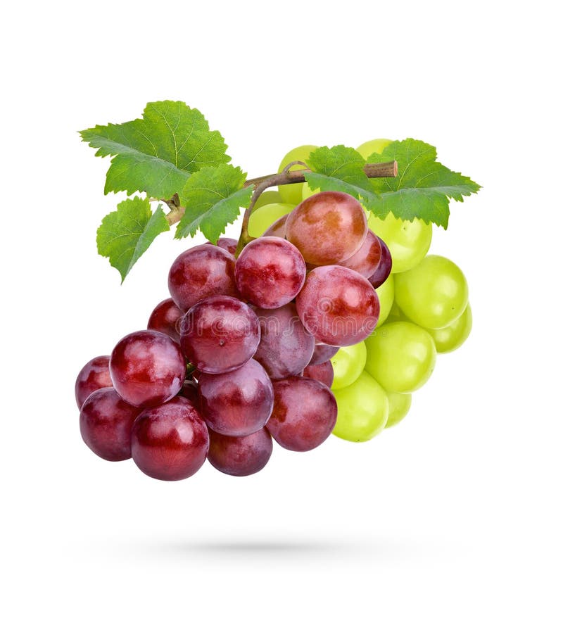Fresh Grape with Leaves Isolated on White Background Stock Image ...