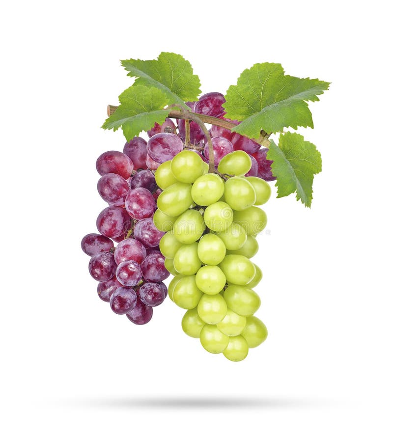 Fresh Grape with Leaves Isolated on White Background Stock Photo ...
