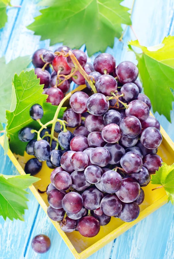 Fresh grape stock photo. Image of juicy, farm, cluster - 36143112