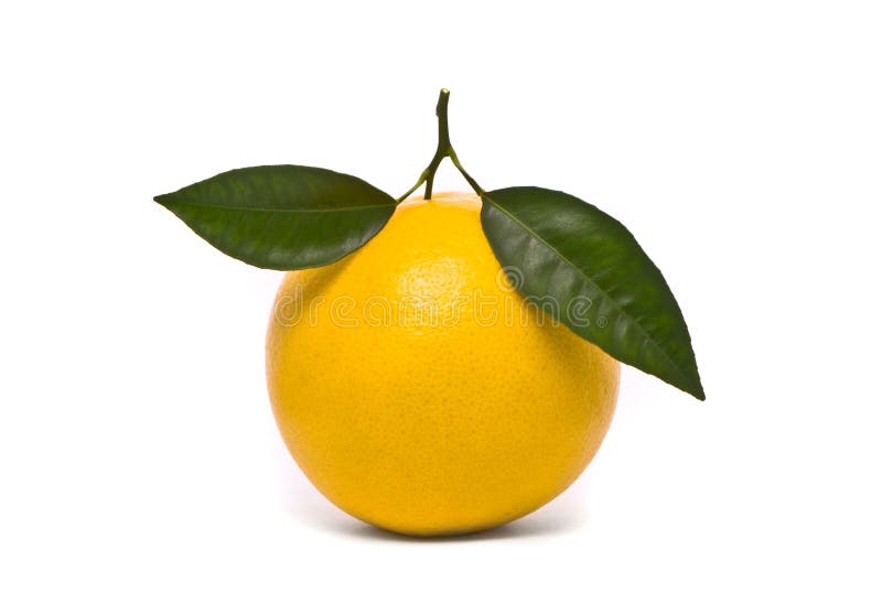 Fresh Grapefruit Fruits in Cut Stock Photo - Image of yellow, healthy ...