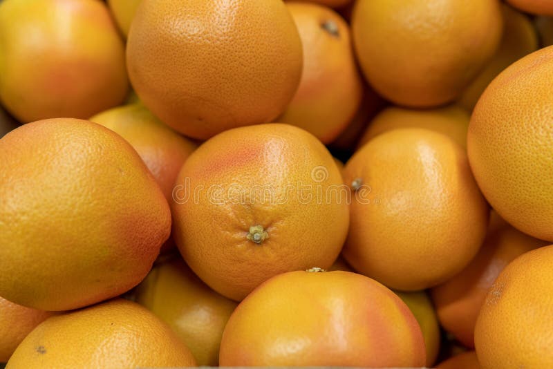 Fresh Grapefruit on the Counter in the Supermarket Stock Image - Image ...