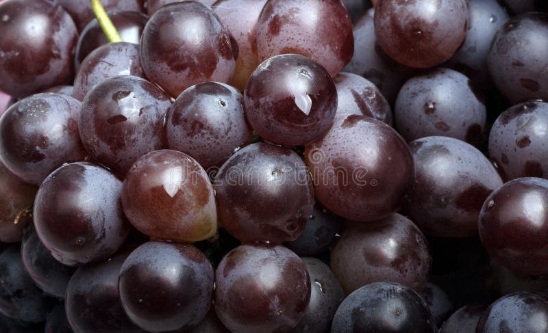 Fresh grapes stock image. Image of juicy, raisin, life - 10074763