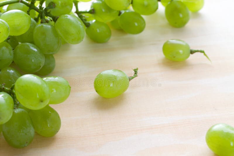 Fresh grapes stock image. Image of food, plant, fruit - 14874581