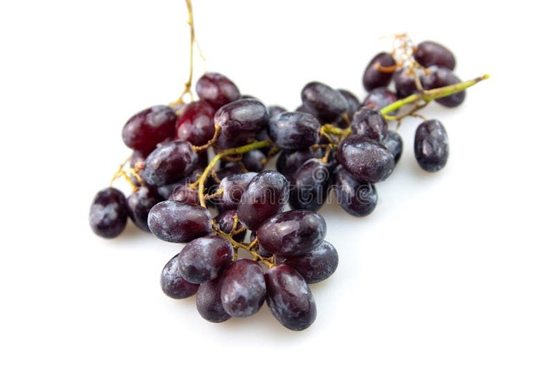 Fresh grapes stock photo. Image of purple, still, maroon - 20785204