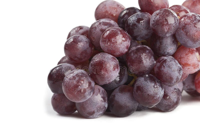 Fresh Grapes stock photo. Image of ingredient, bunch - 21980284