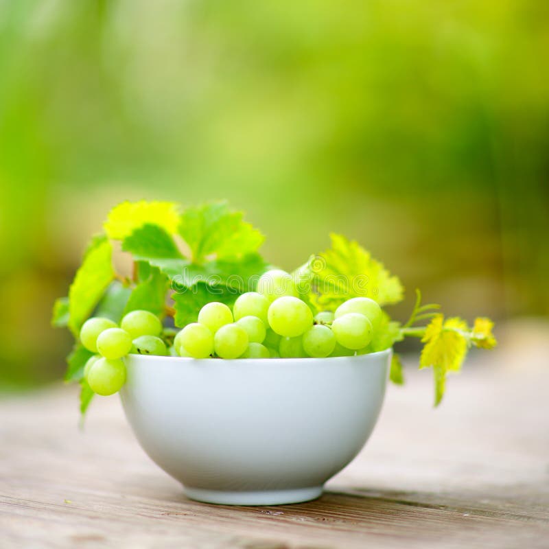 Fresh grapes stock image. Image of organic, harvest, vine - 23839395