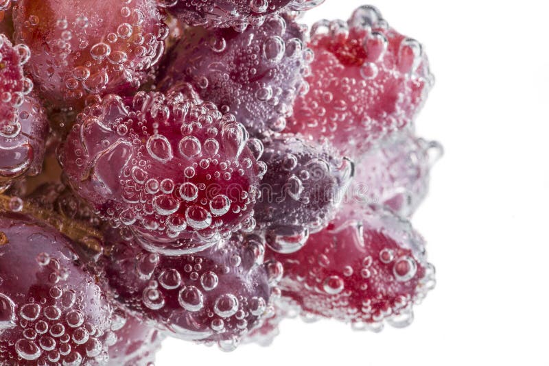 Fresh grapes with bubbles stock image. Image of clear - 38141413